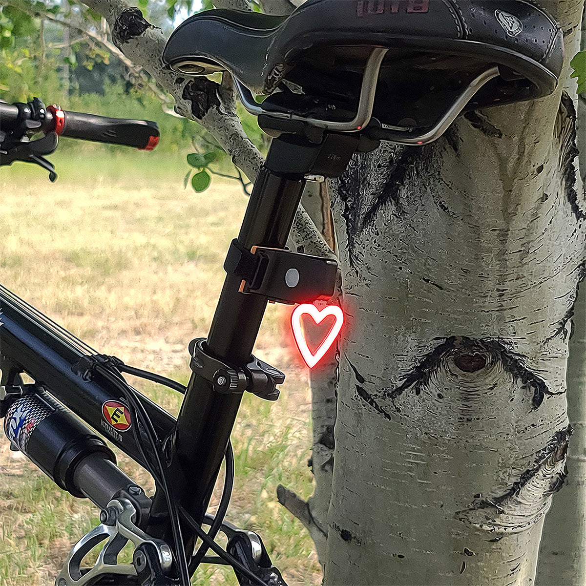 Cyclamore Heart-Shaped LED Tail Light for Bikes | Waterproof ...
